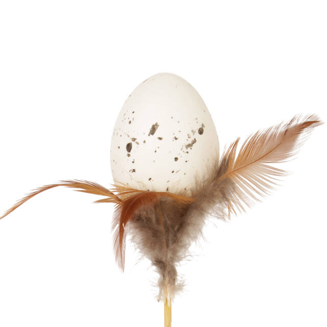 Pique Egg+Feather 6x4cm+12cm bâton 24pièce/sac (93185221), Merkloos ...